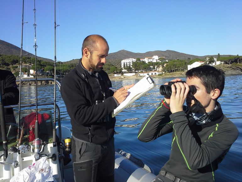 Menys gavià i corb marí gros i més baldrigues al Cap de Creus | Ràdio ...