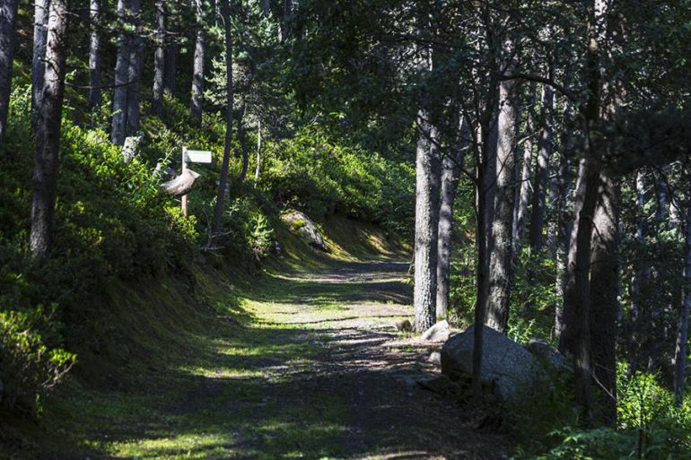 Protecció Civil incrementa la vigilància per l'elevat risc d’incendis ...
