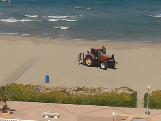 Aparece un ejemplar de atún muerto en La Manga | Radio Murcia | Cadena SER