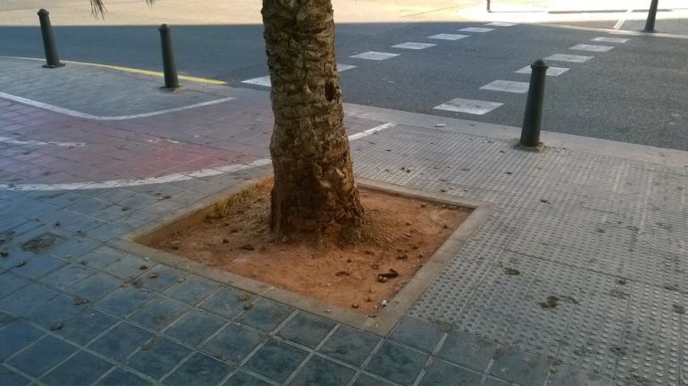 Un verano más, las calles están sucias: Las calles de Valencia siguen ...