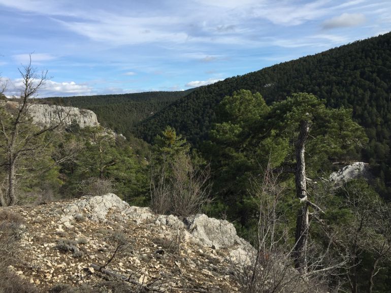 La comarca del Alto Turia quiere ser Reserva de la Biosfera | SER ...