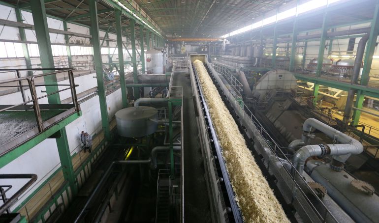 acor remolacha: Los sindicatos agrarios confían que la Junta pague las ...