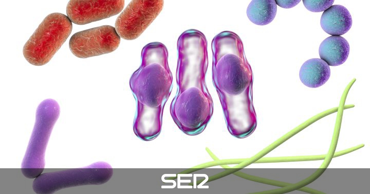Bienvivir: Cómo alimentar los microbios de nuestro aparato digestivo ...