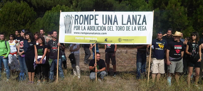 Unas 400 personas piden la abolición del Toro de la Vega en Tordesillas ...