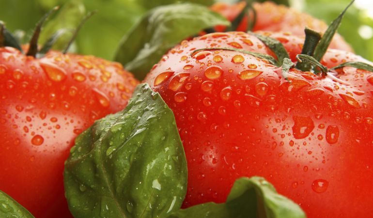 Hallan la ruta genética que permite recuperar a los tomates su sabor ...
