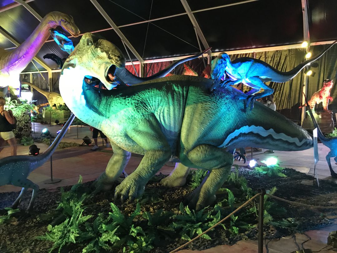 El mundo de hace 65 millones de años recreado en una muestra jurásica ...