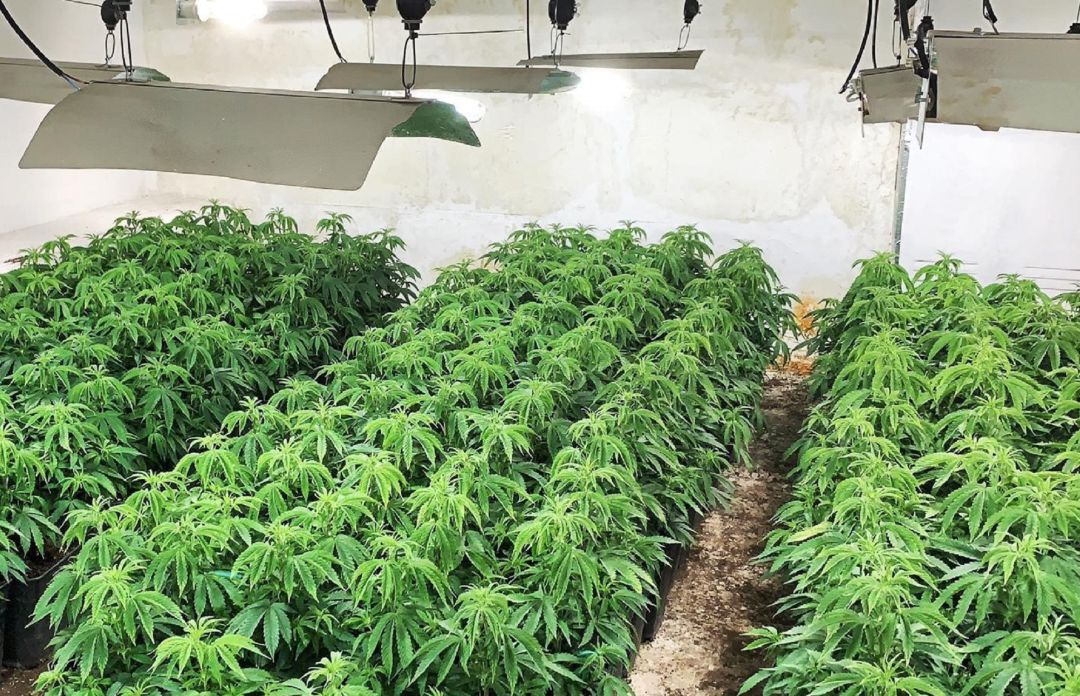 Desmantelan una plantación de marihuana en un zulo excavado en un bloque de viviendas | Radio ...