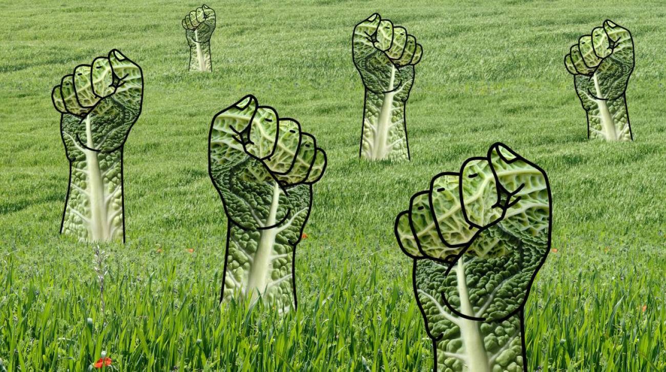 El curioso origen de la palabra 'boicot' | Sociedad | Cadena SER