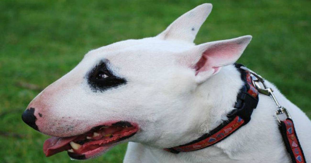 Sucesos: Cuatro sanciones de hasta 15.000 euros al propietario de dos ...