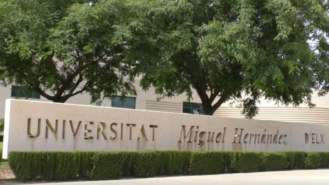 La UMH entre las 10 universidades españolas con mejor impacto en los ...